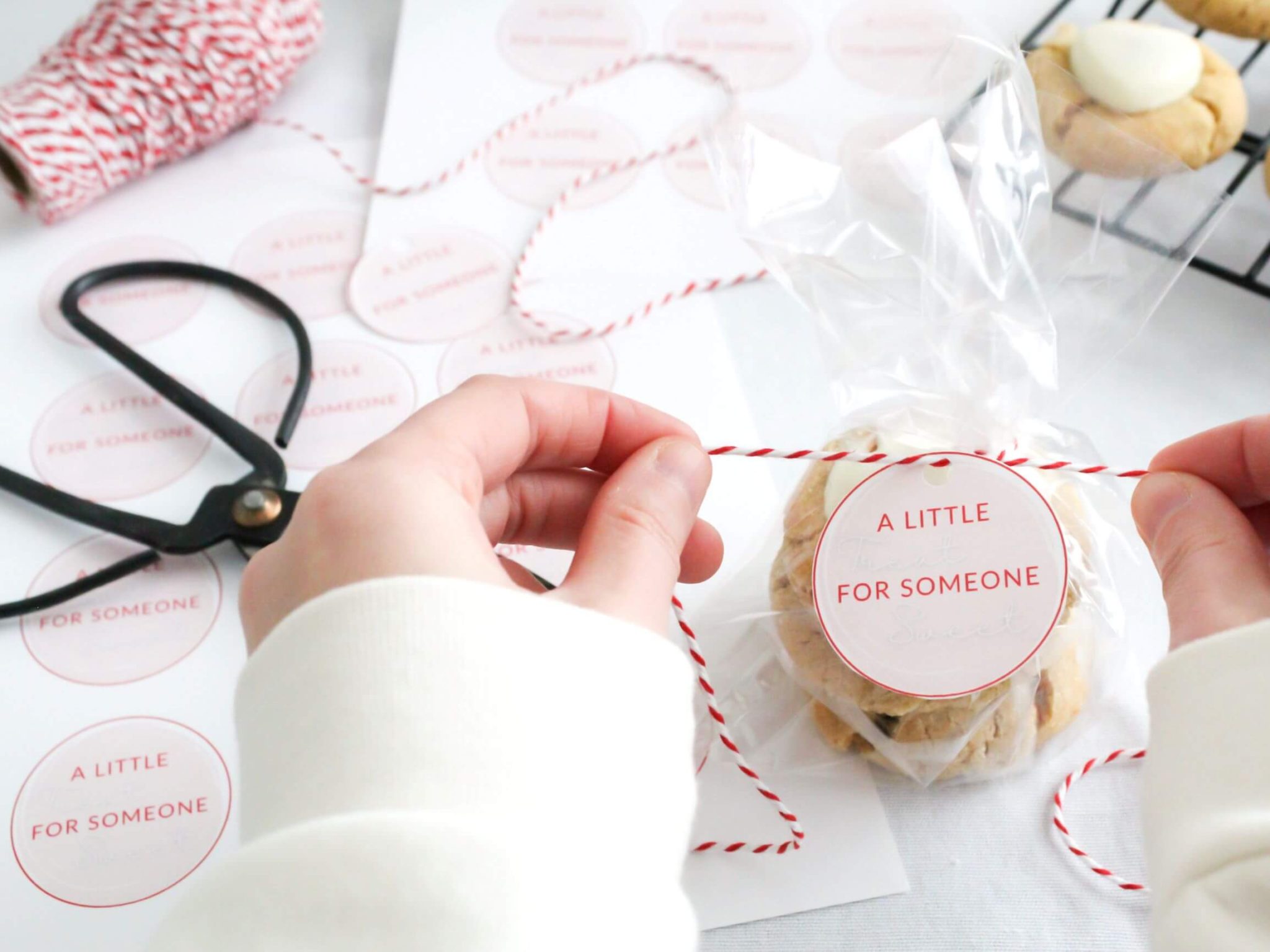Adorable Free Valentine's Day Treat Tag Printable - Midwest Life and ...