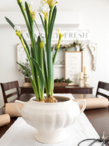 Make A Simple Winter Centerpiece With Paperwhites - Midwest Life and ...