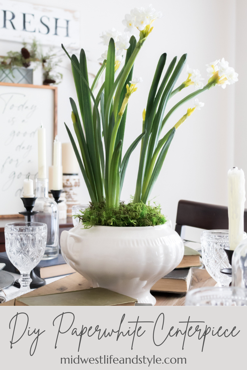 Make A Simple Winter Centerpiece With Paperwhites - Midwest Life and ...