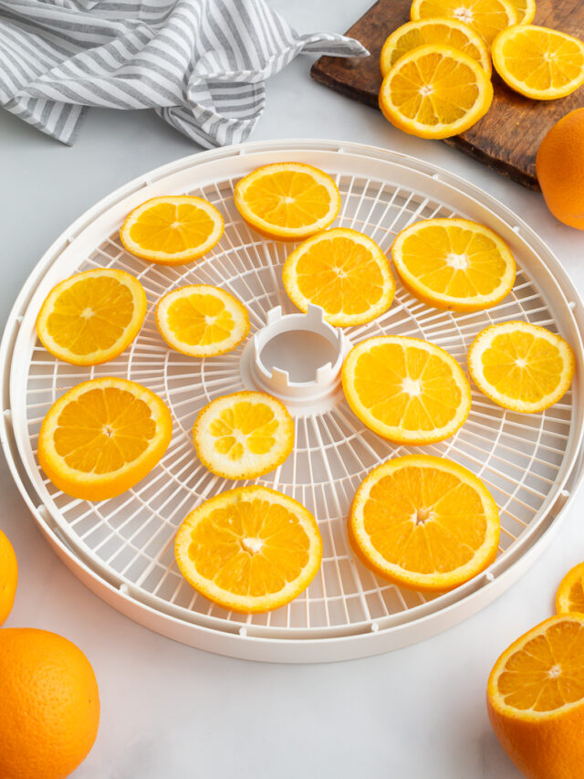 Simple Guide To Making Dried Oranges In A Dehydrator For Christmas ...