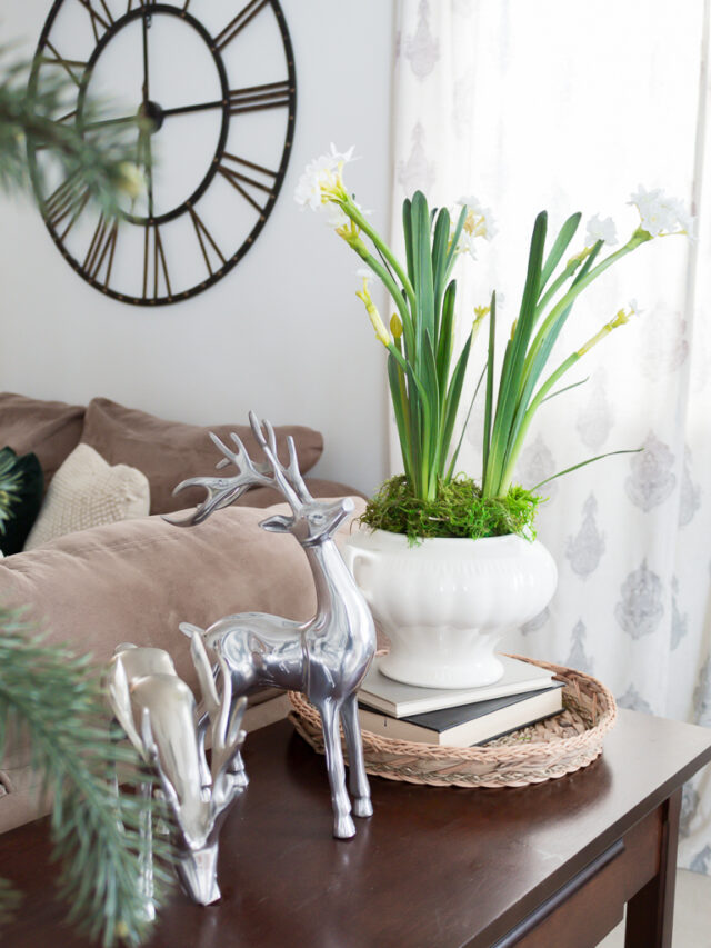 The Secrets To Styling A Warm And Homey Christmas Living Room - Midwest ...