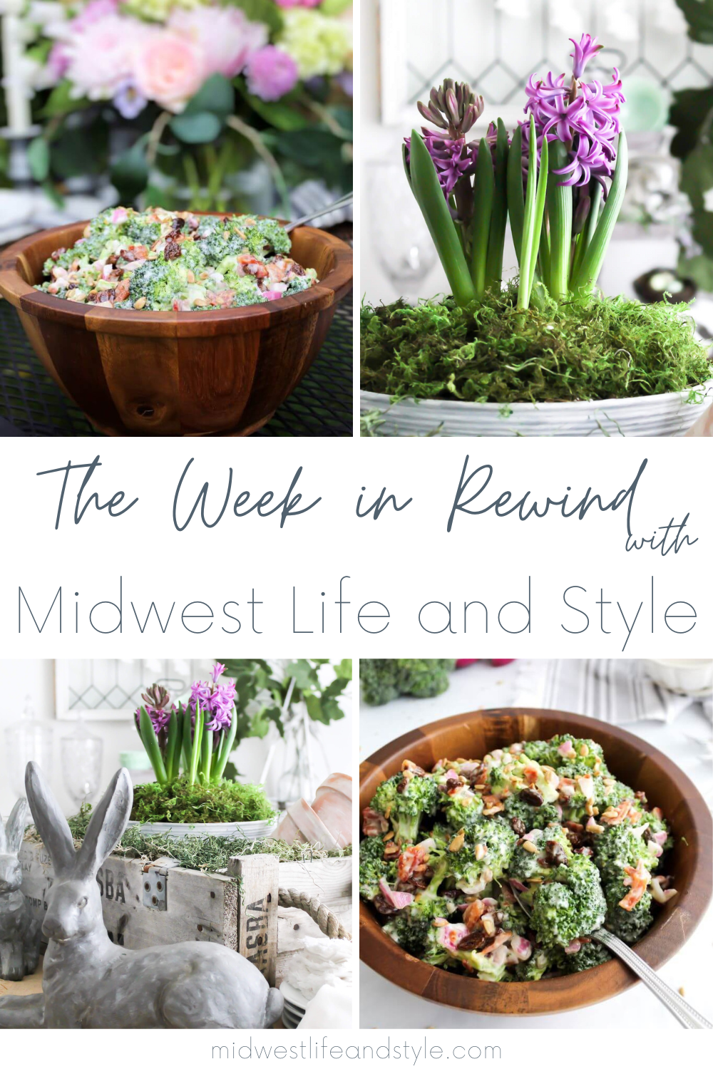 Week in Rewind Volume 76 - Midwest Life and Style Blog