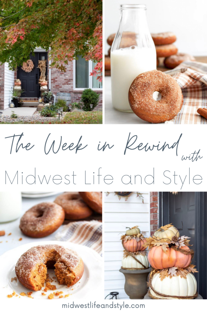 Week In Rewind Volume 94 - Midwest Life and Style Blog